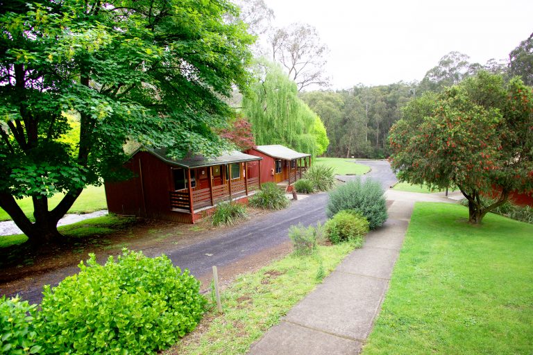 McKerlie Creek Cabins - Forest Edge CYC